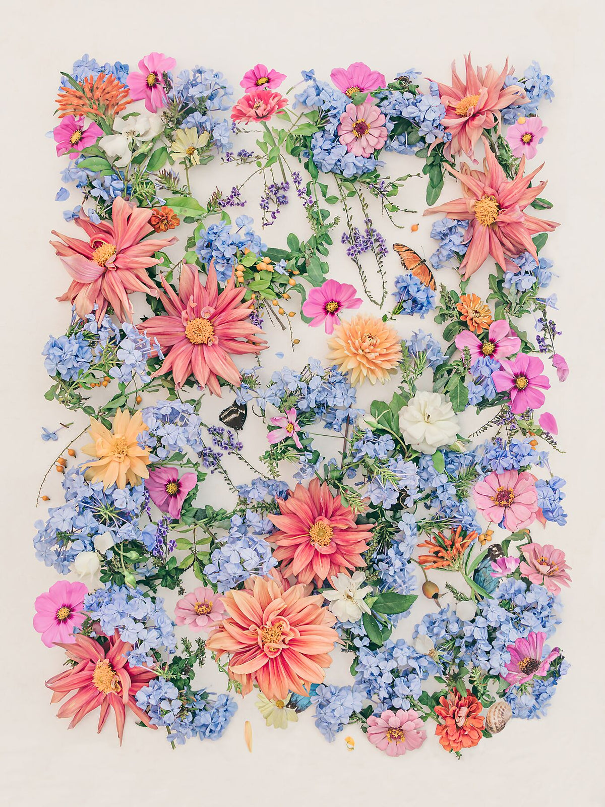 Botanical art photography fine art prints – Shop.wildabouthere.com