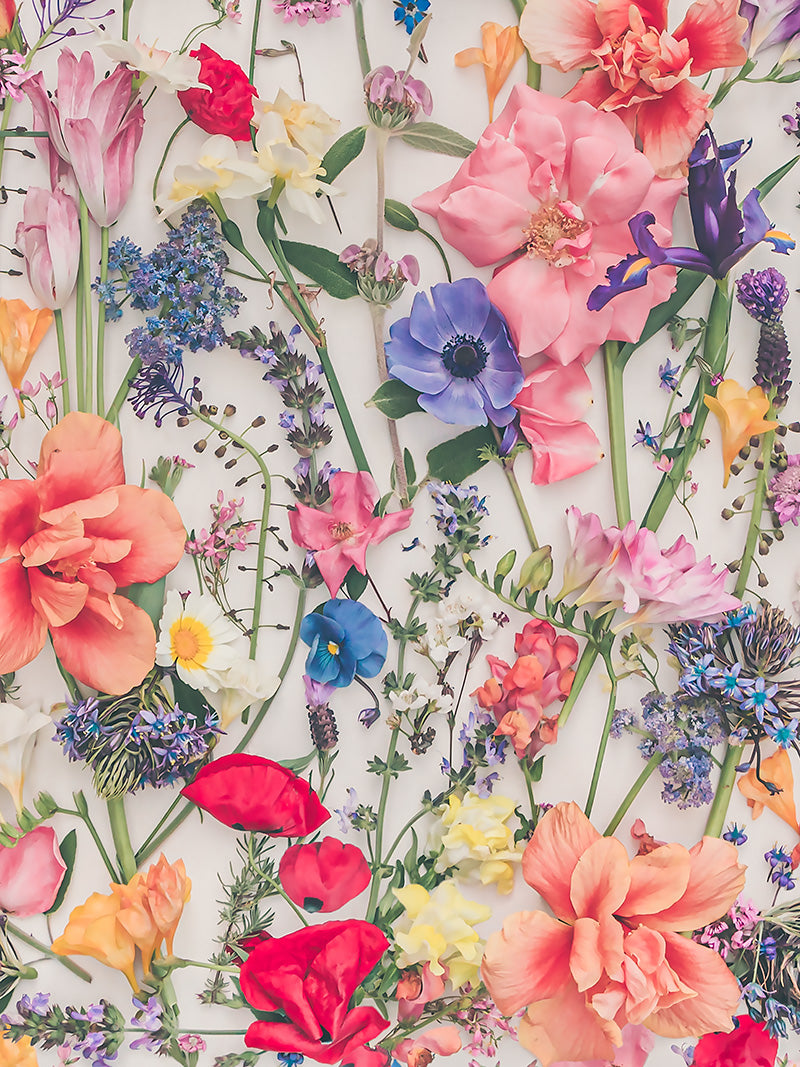 Botanical art photography fine art prints – Shop.wildabouthere.com