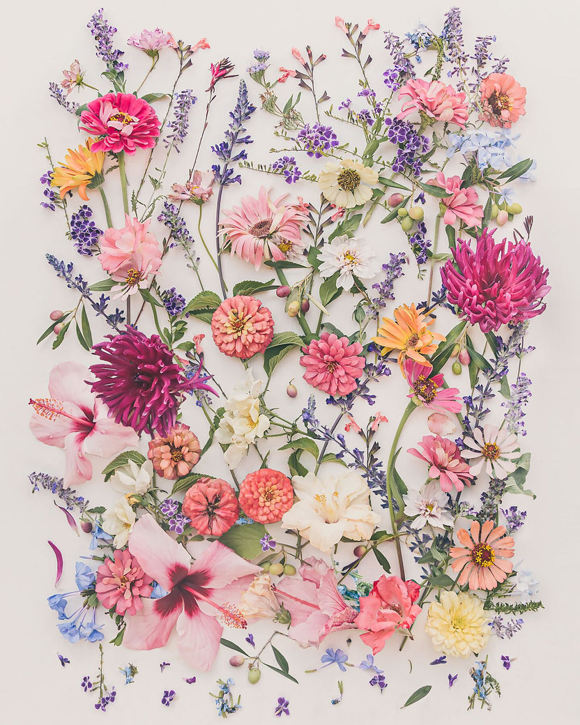 Botanical art photography fine art prints – Shop.wildabouthere.com